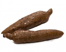 Aroei (Chinese Tayer) - Knollen - Surinaamse toko